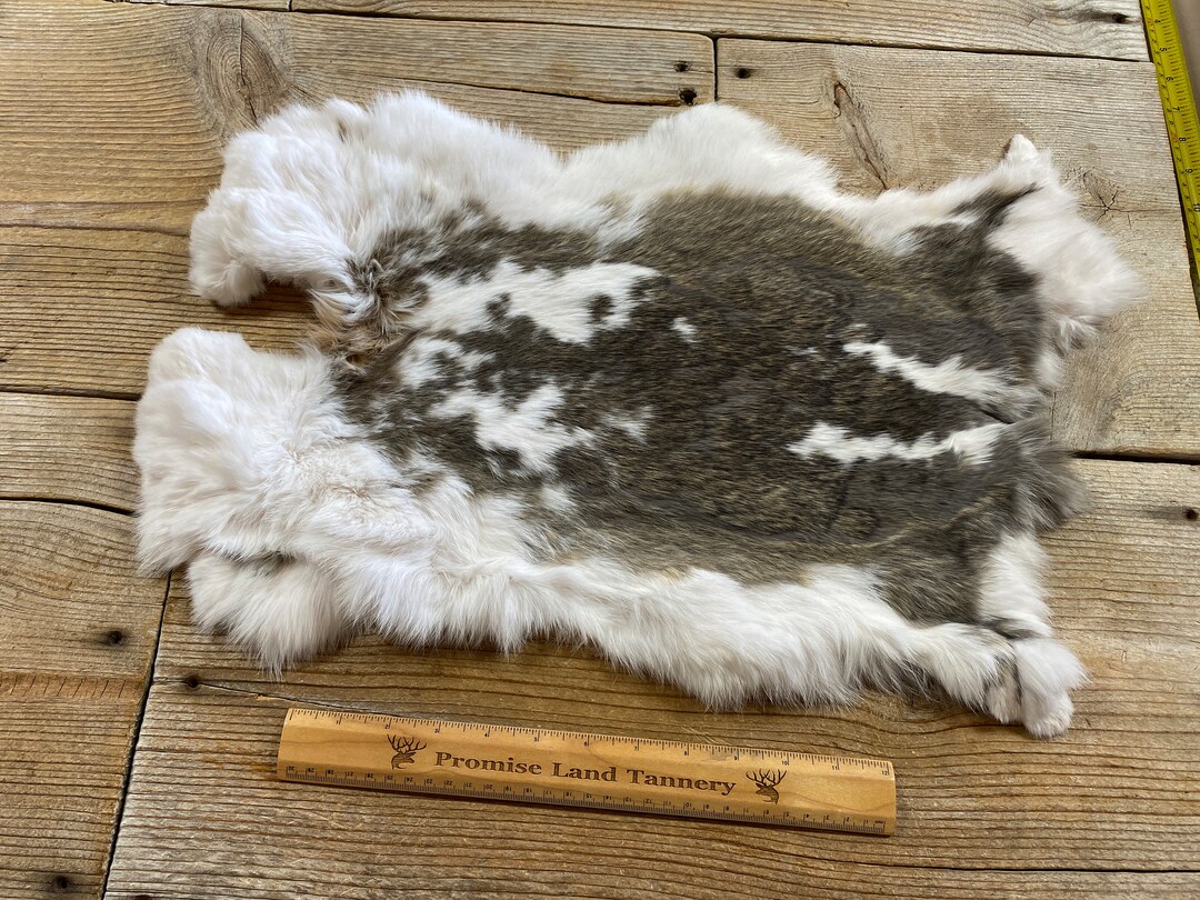White and Gray Spotted Rabbit Hide - One Average Natural Rabbit Fur ...