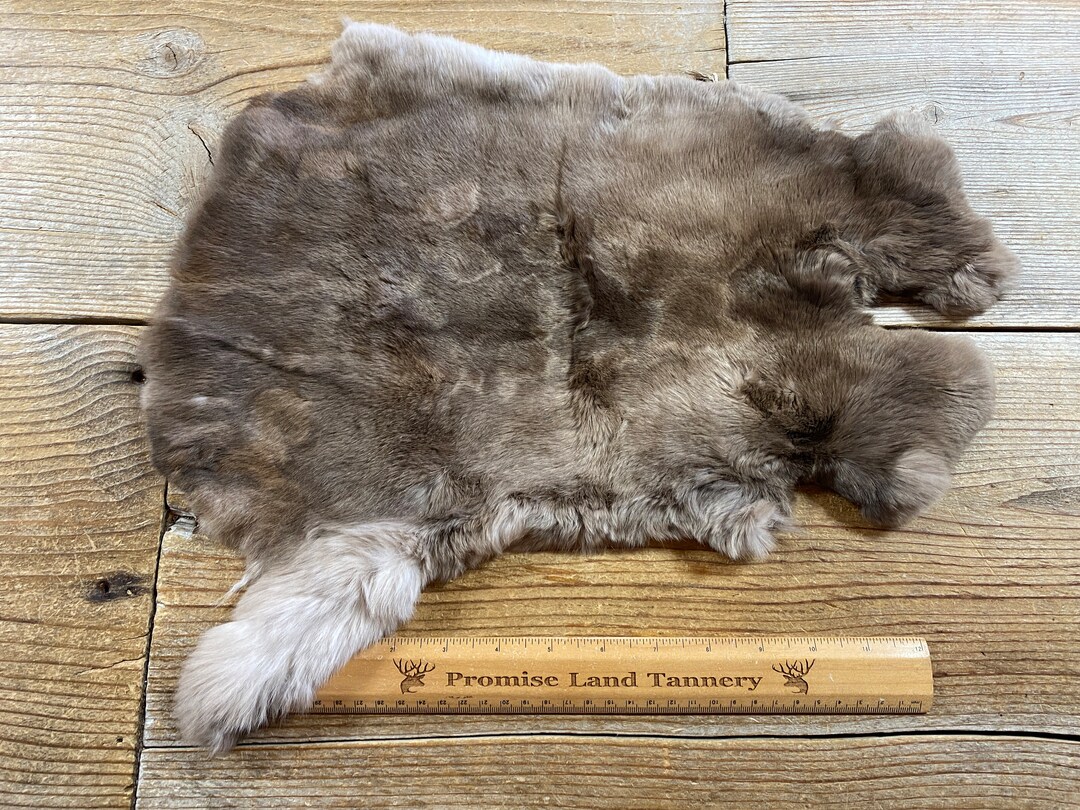 Brown Castor Rex Rabbit Hide-one Average - Natural Rabbit Fur- No ...