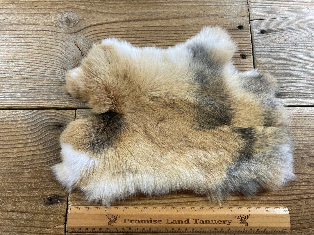 Japanese Harlequin Brown Rabbit Hide One Average Natural Rabbit Fur Lot ...
