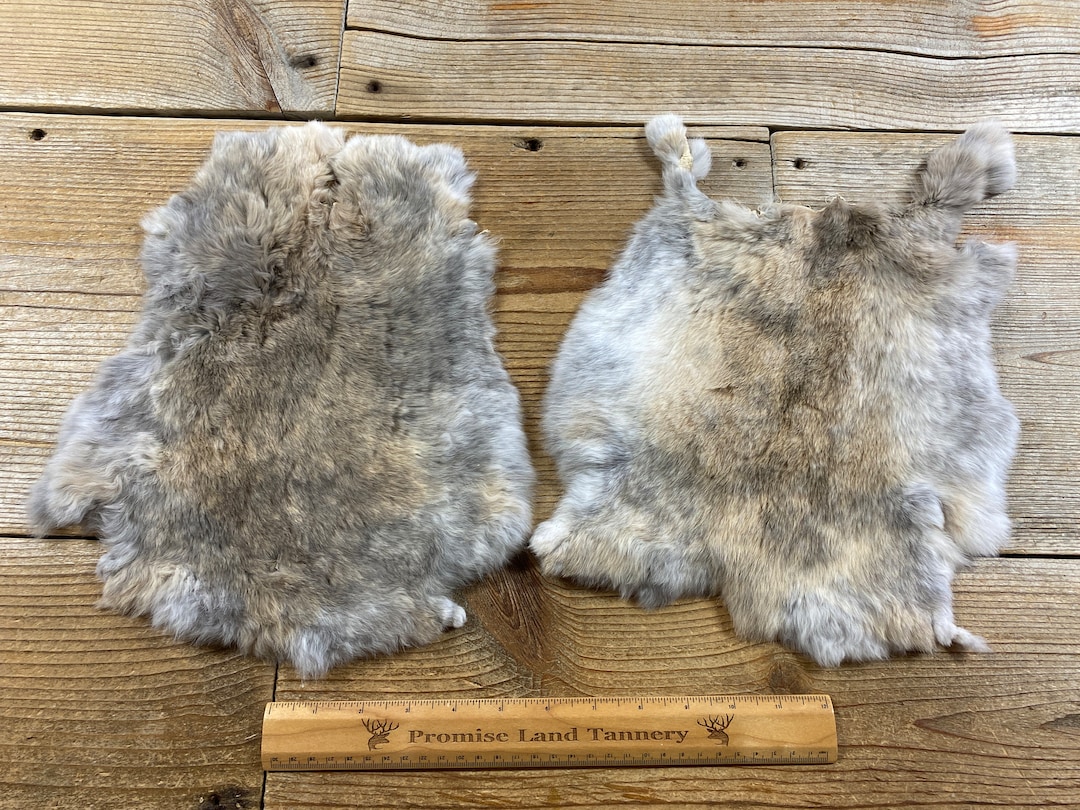 Lot of 2 Japanese Harlequin Brown Rabbit Hides Two Matching Average Rex ...