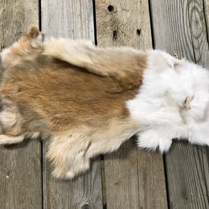 Lot of 4 Assorted Rabbit Hides- as Shown- Natural Rabbit Fur- No ...