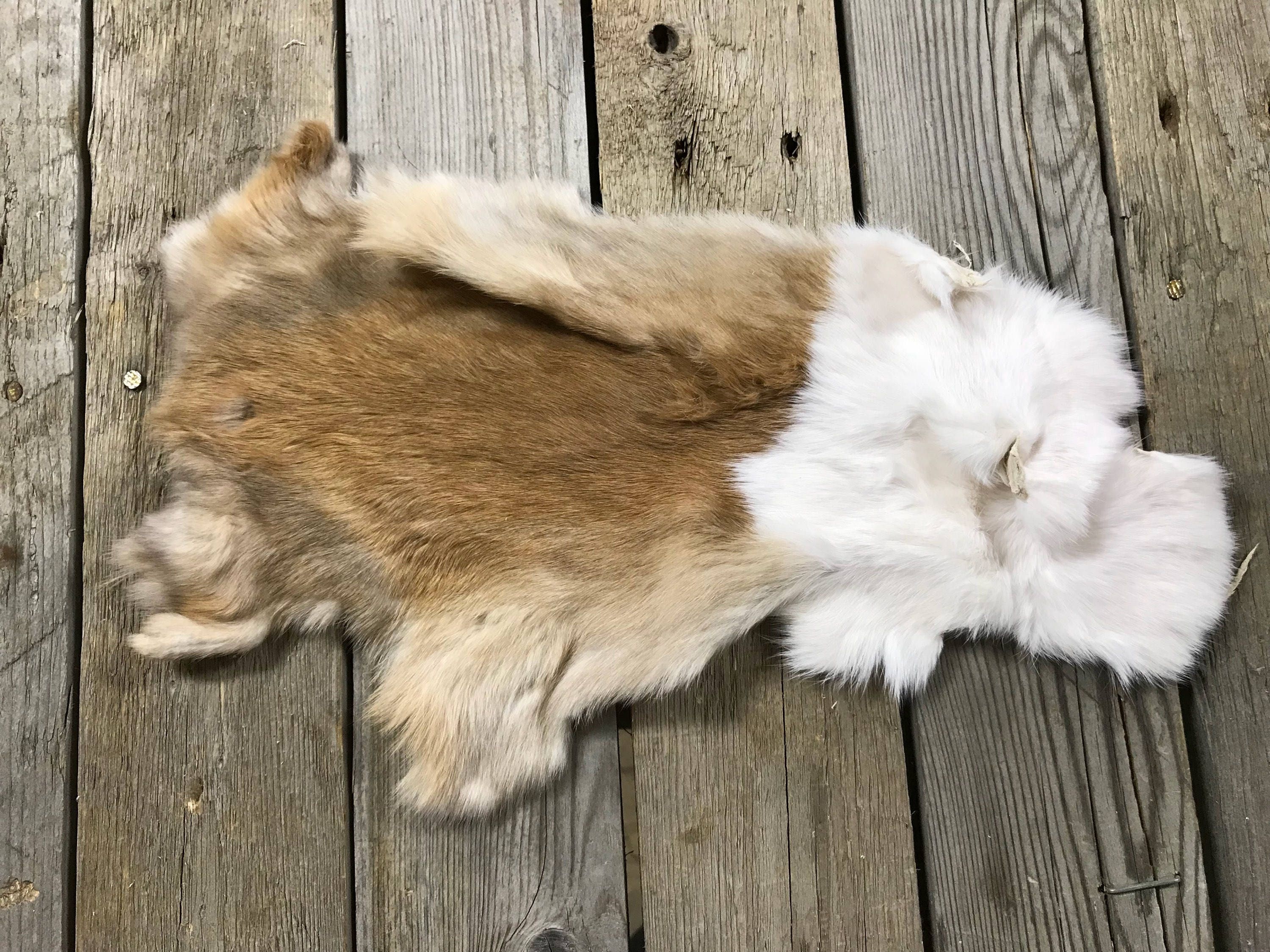Lot of 4 Assorted Rabbit Hides as Shown Natural Rabbit Fur | Etsy