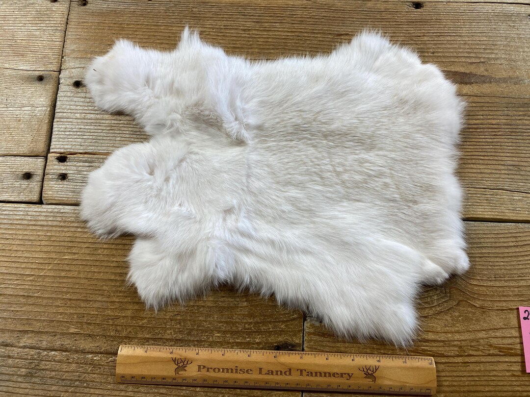 Pearl Rabbit Hide - One Average - Natural Rabbit Fur - No. 240907-L - Etsy