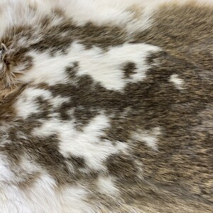 White and Gray Spotted Rabbit Hide - One Average Natural Rabbit Fur ...