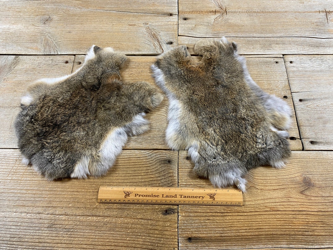 Brown Rabbit Hides - Two Matching Average - Natural Rabbit Fur - No ...