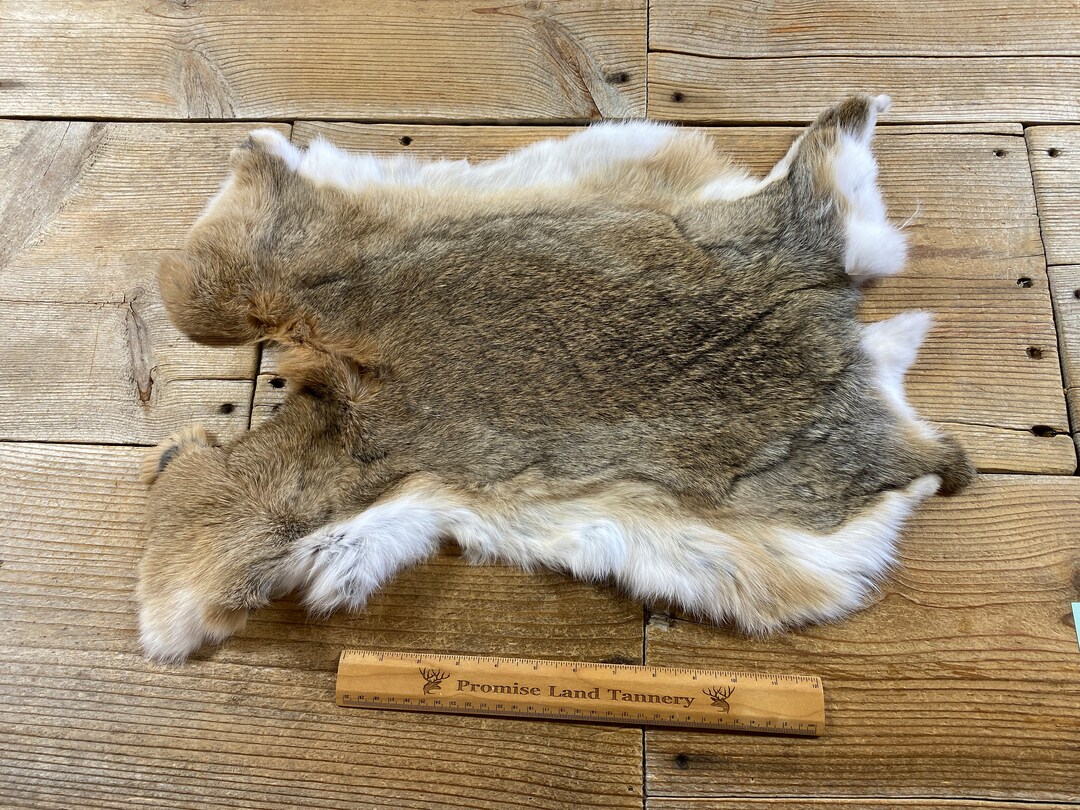 Brown Rabbit Hide - One Jumbo - Natural Rabbit Fur - Lot No. 240707-K ...
