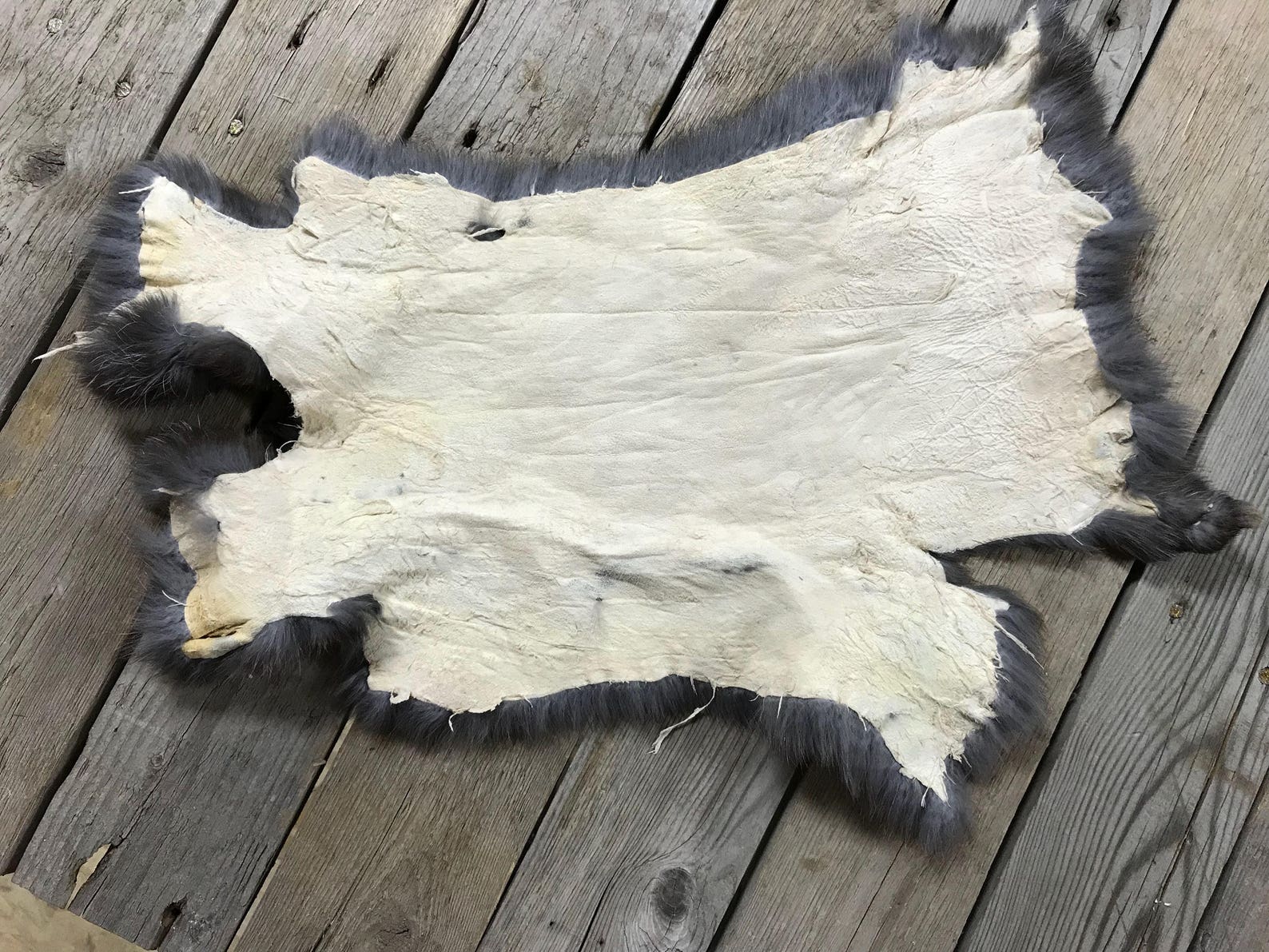 Lot of 4 Assorted Rabbit Hides as Shown Natural Rabbit Fur | Etsy