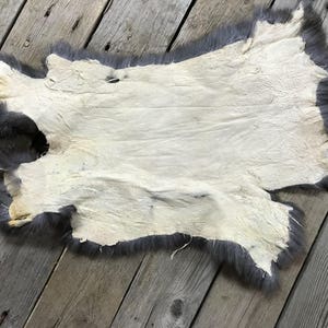 Lot of 4 Assorted Rabbit Hides- as Shown- Natural Rabbit Fur- No ...