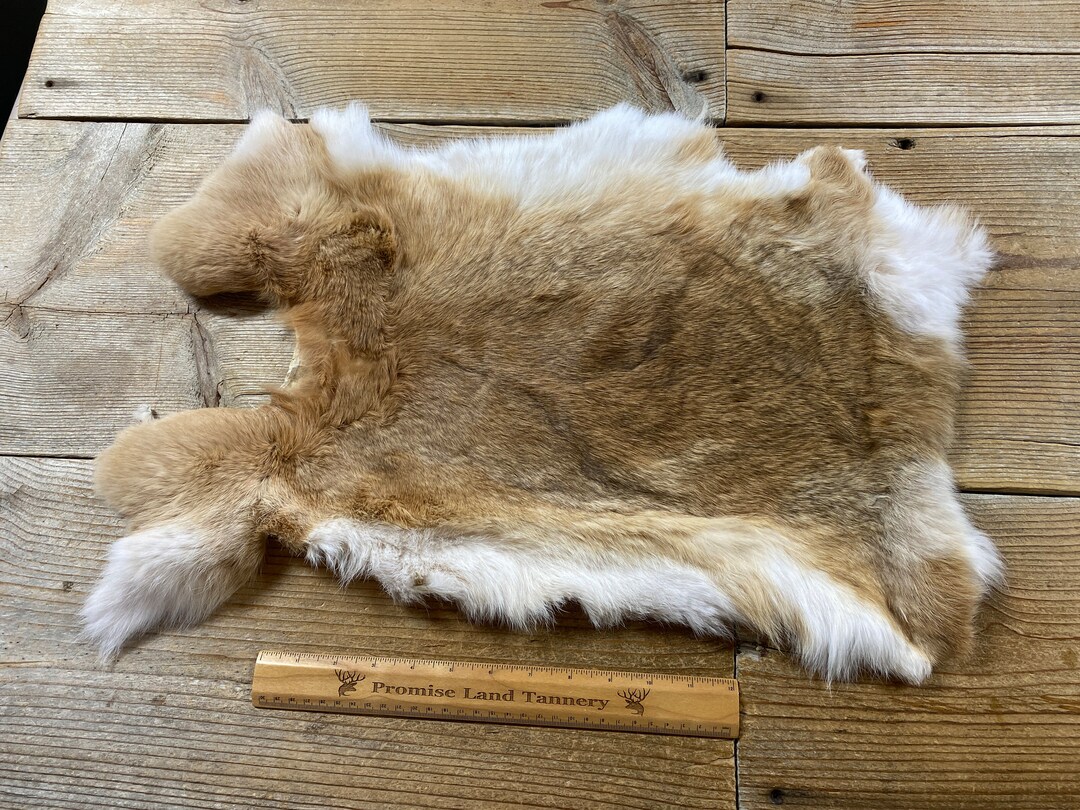 Brown Rabbit Hide - One Jumbo - Natural Rabbit Fur - Lot No. 230125-I ...