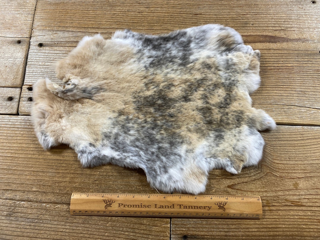 Japanese Harlequin Brown Rabbit Hide One Average Rex Natural Rabbit Fur ...