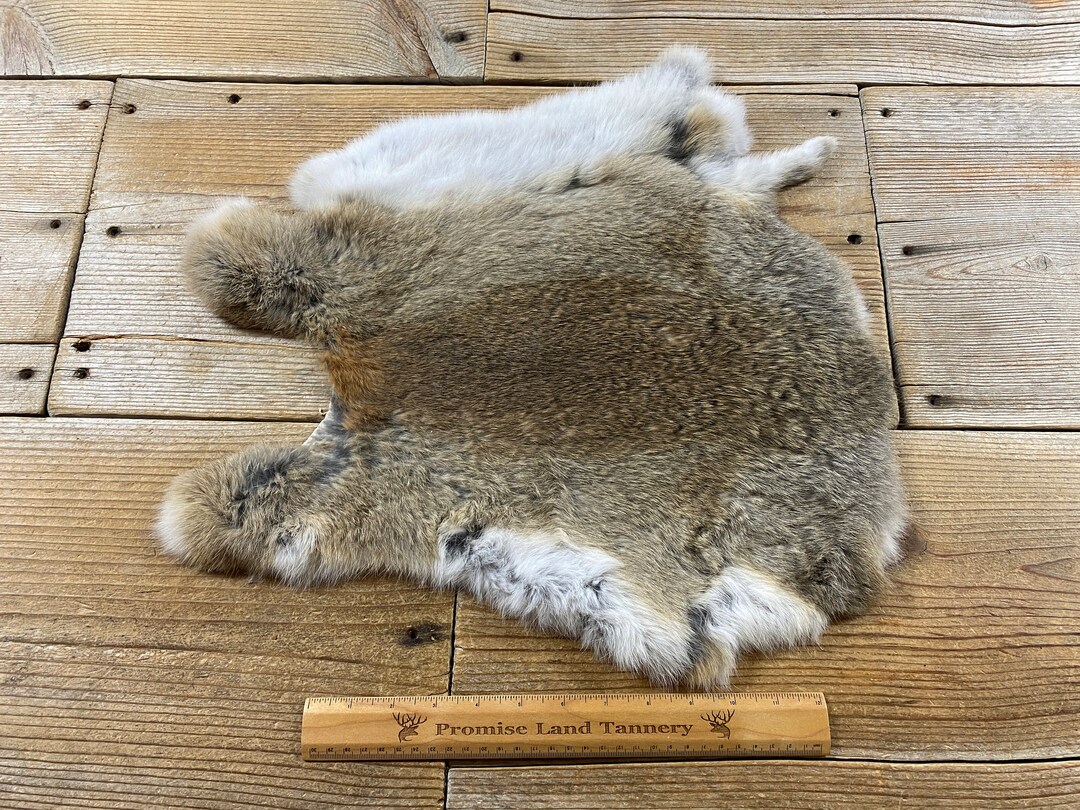 Brown Rabbit Hide-one Average Blocked Rabbit Fur No. 231207-A - Etsy