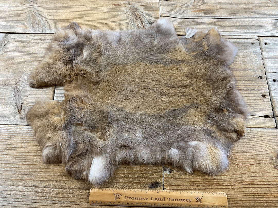 Tortoise Rabbit Hide - One Jumbo - Natural Rabbit Fur- No. 240707-NN - Etsy
