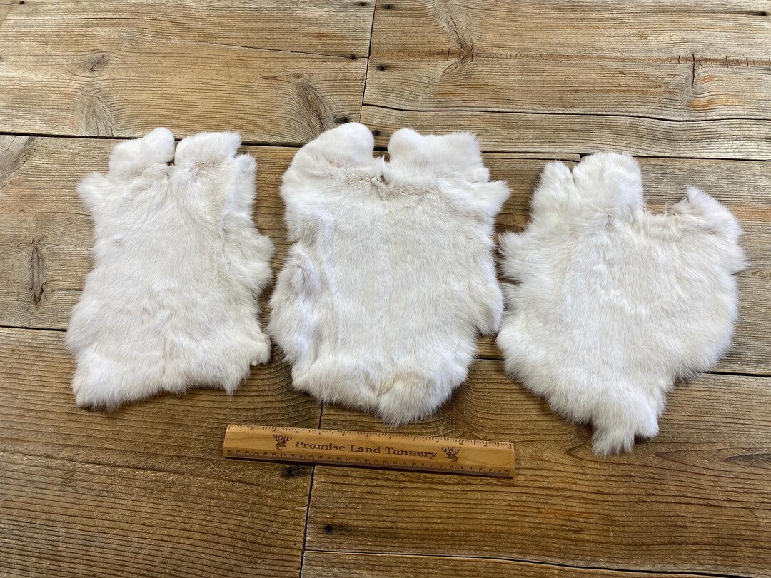 Lot of Three Matching White Rabbit Hides - Average - Natural Rabbit Fur ...