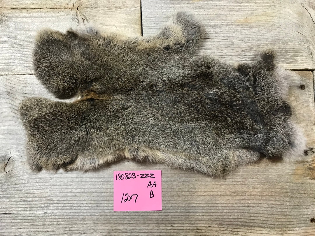 One Average Brown Agouti Rabbit Hide Natural Rabbit Fur No. - Etsy