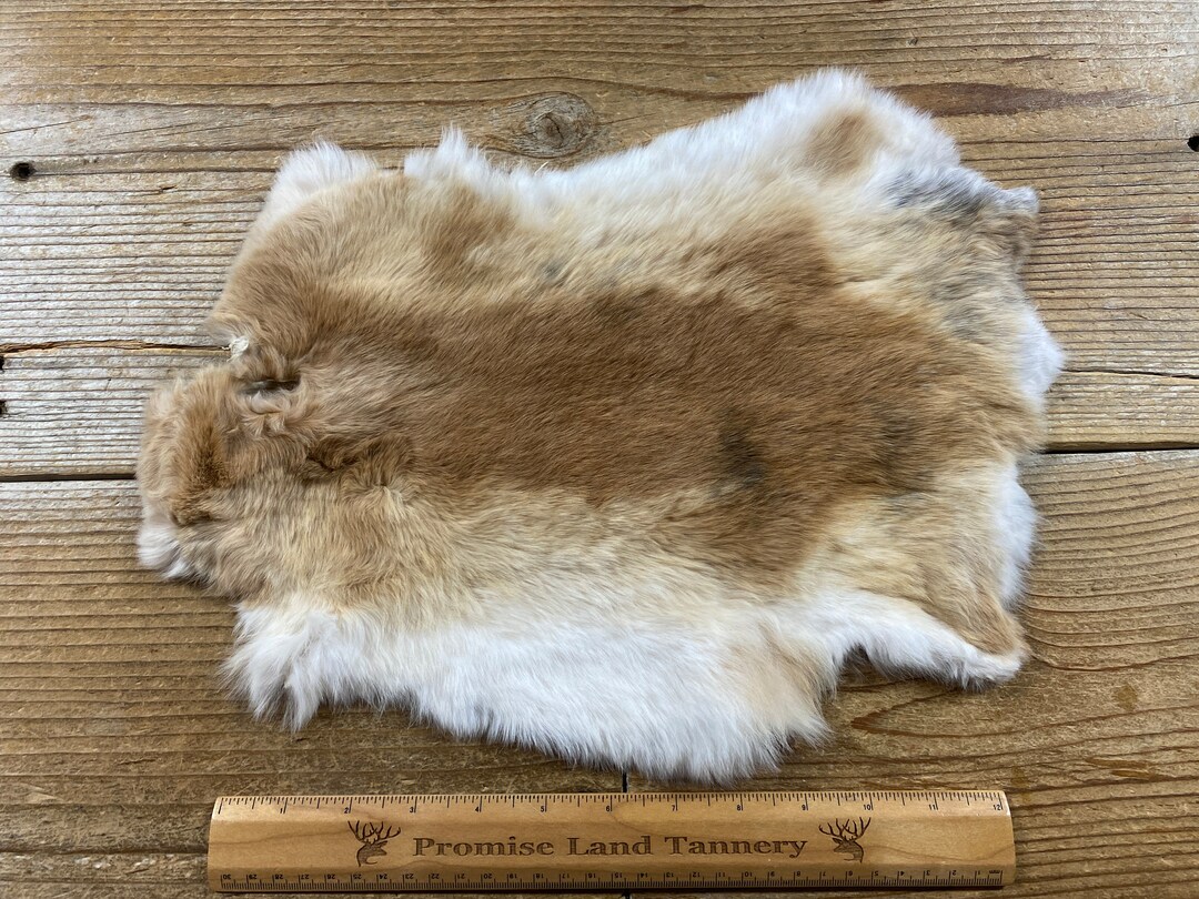 Japanese Harlequin Brown Rabbit Hide - One Average Rex - Natural Rabbit ...