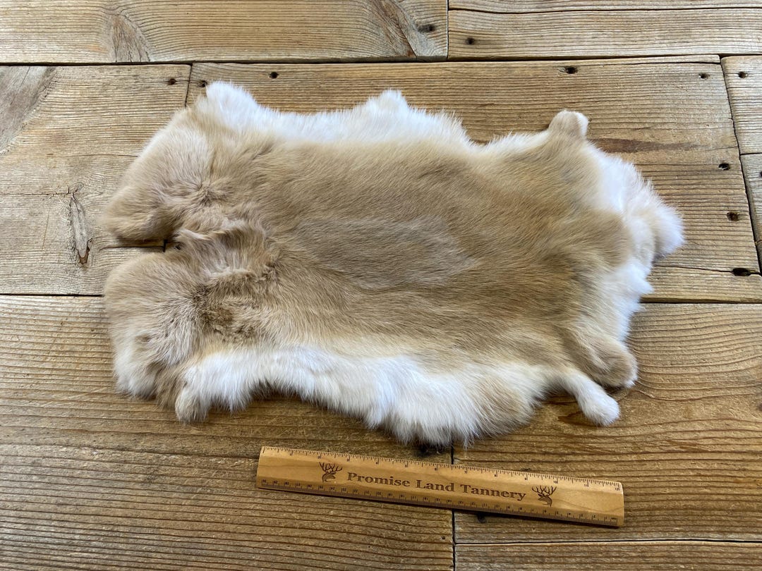 Fawn Rabbit Hide - One Average - Natural Rabbit Fur - No. 240707-DDD - Etsy