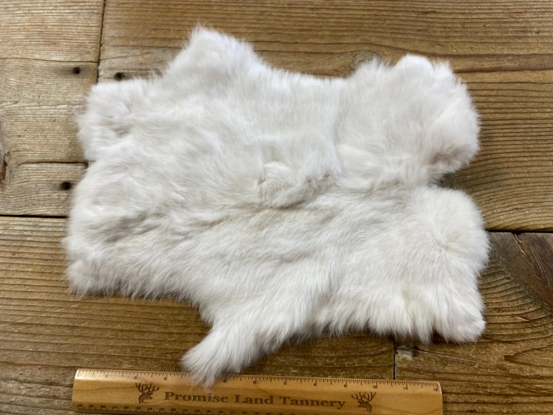 White Rabbit Hide - One Average - Natural Rabbit Fur- Lot No. 240907-NN ...