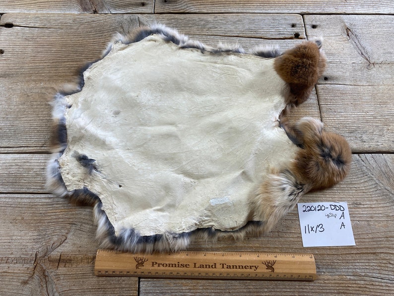 Brown Rabbit Hide-one Average Blocked Rabbit Fur No. | Etsy