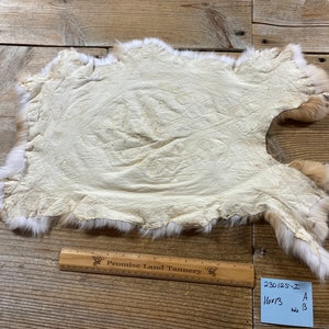 Brown Rabbit Hide - One Jumbo - Natural Rabbit Fur - Lot No. 230125-I ...