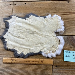 Gray and White Dutch Rabbit Hide - One Average - Natural Rabbit Fur ...