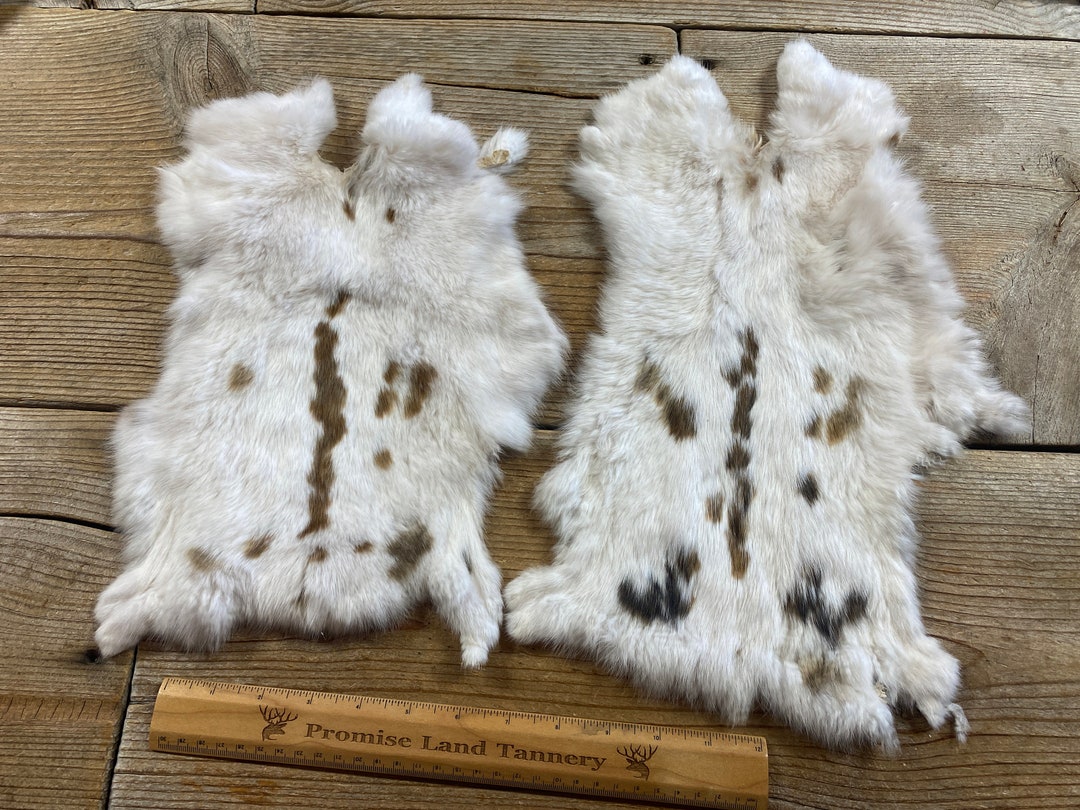 Brown Satin Rabbit Hides- Two Assorted as Shown- Natural Rabbit Fur- No ...