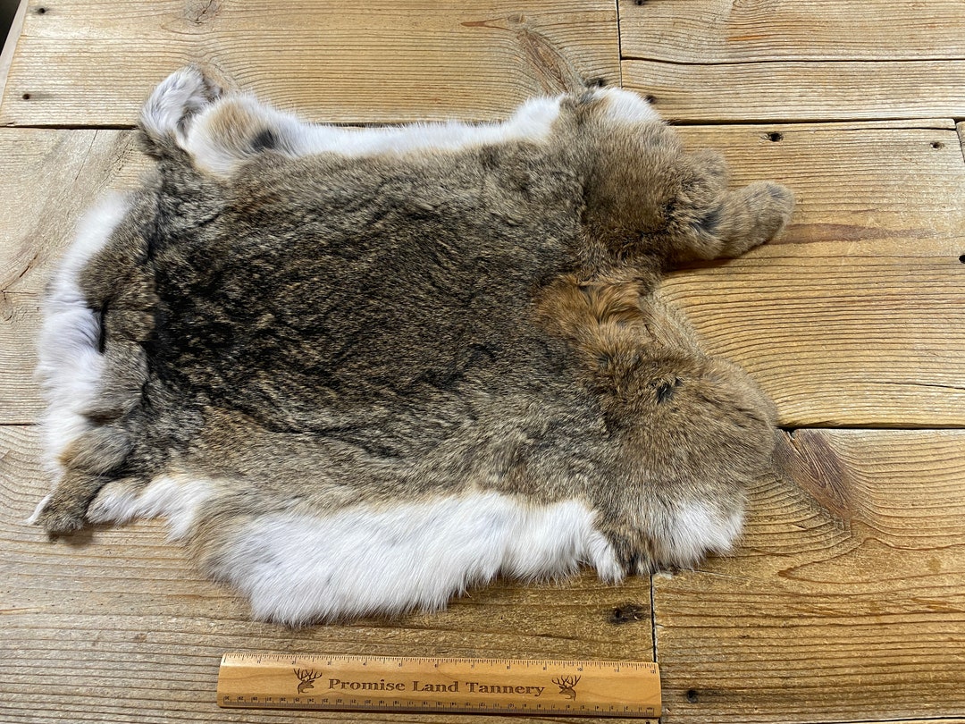 Brown Agouti Rabbit Hide - One Jumbo - Natural Rabbit Fur - Lot No ...