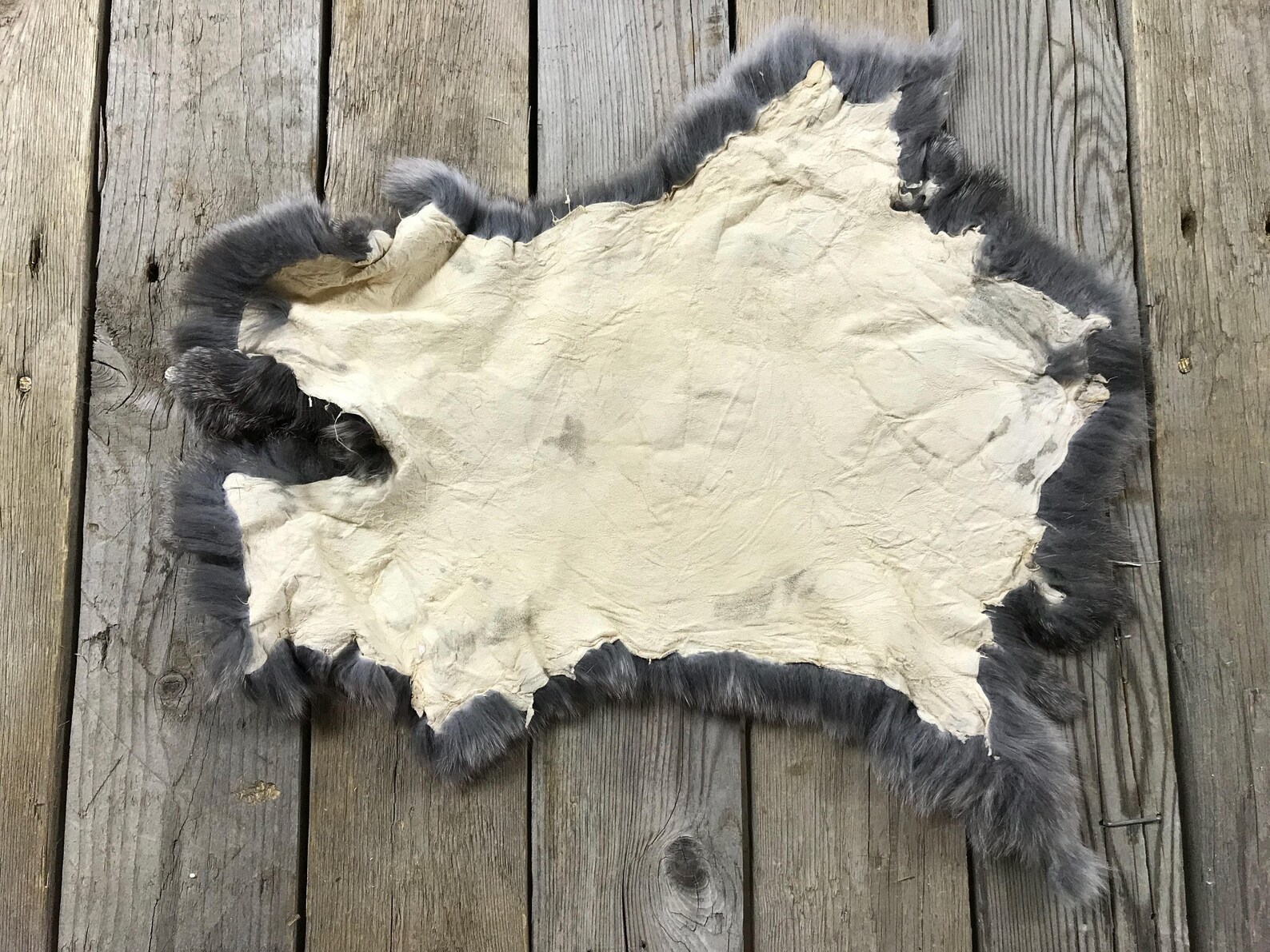 Lot of 4 Assorted Rabbit Hides as Shown Natural Rabbit Fur | Etsy