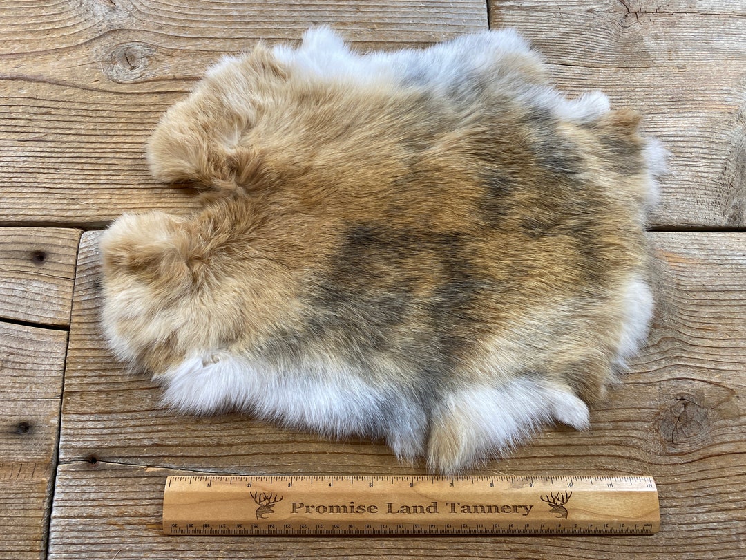 Japanese Harlequin Brown Rabbit Hide One Average Natural Rabbit Fur Lot ...