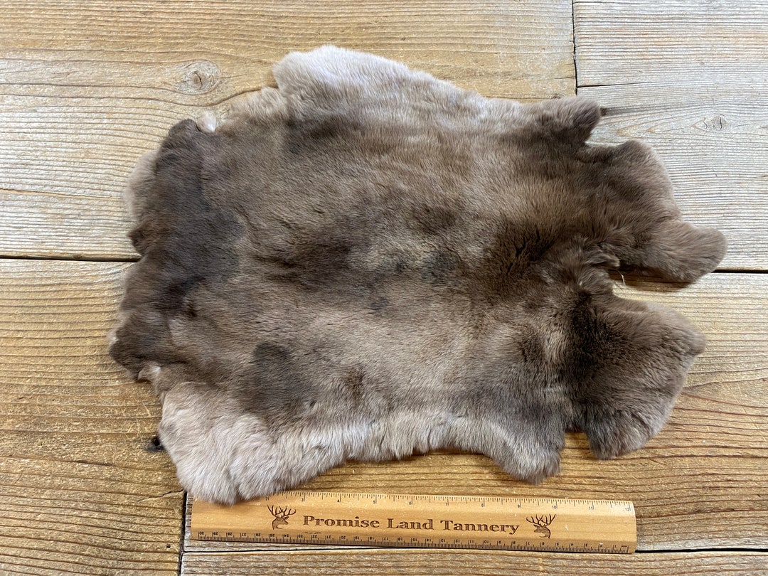 Brown Castor Rex Rabbit Hide-one Average Natural Rabbit Fur No. 230330 ...