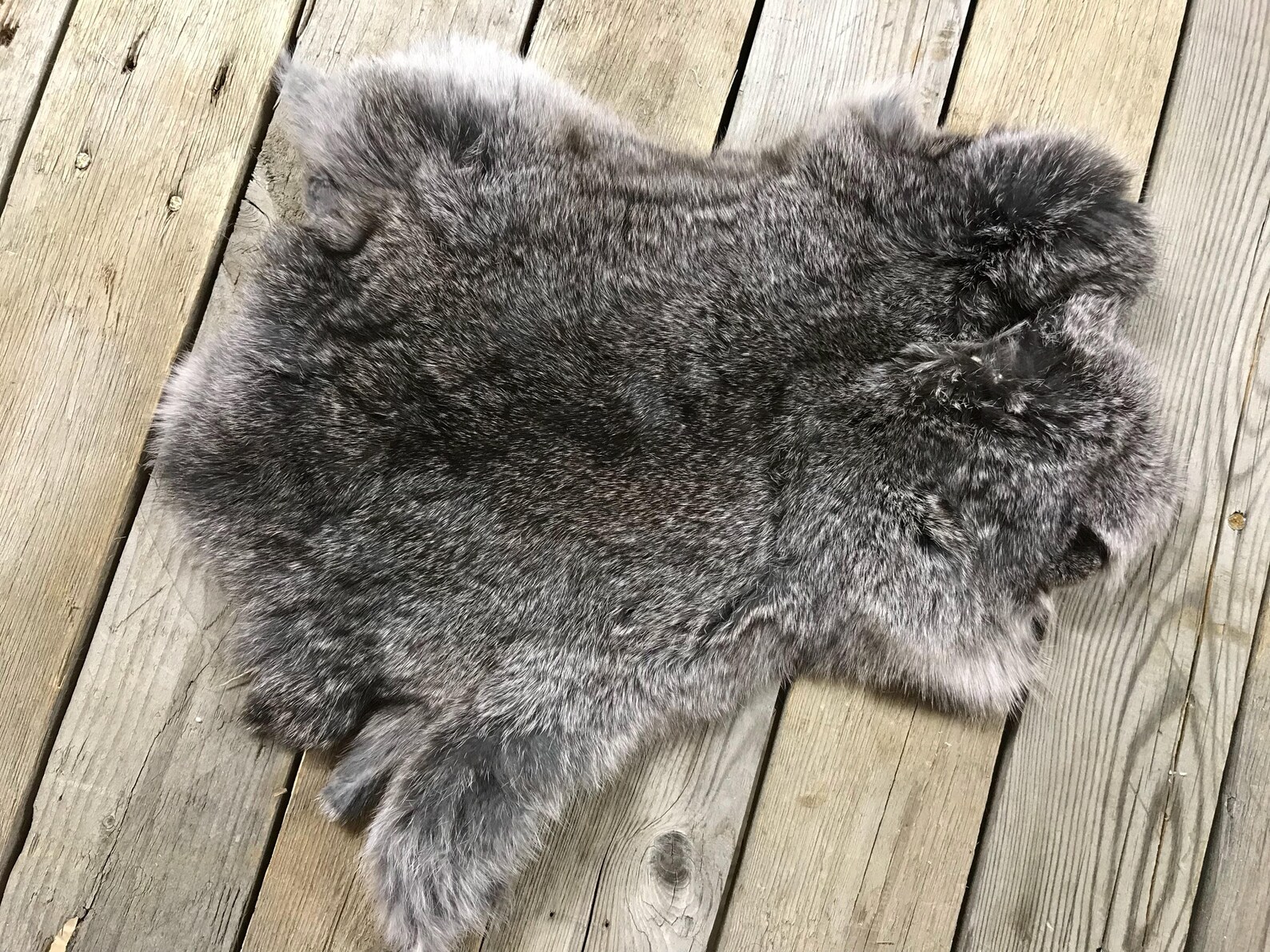 Lot of 4 Assorted Rabbit Hides as Shown Natural Rabbit Fur | Etsy