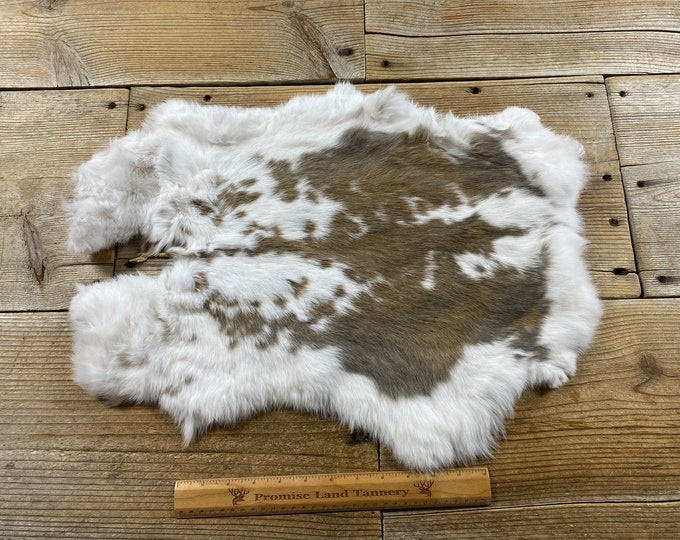 Gray/brown and White Spotted Rabbit Hide One Jumbo Natural Rabbit Fur ...