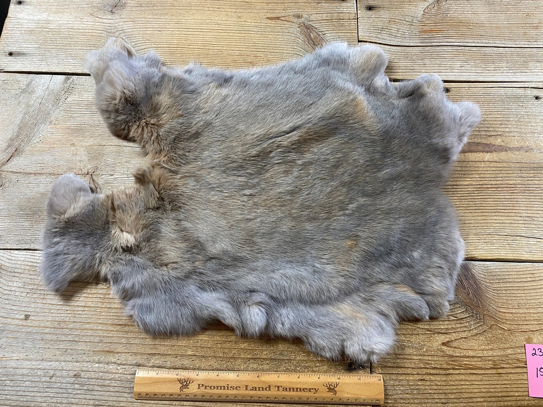 Gray/brown Rabbit Hide - One Jumbo - Natural Rabbit Fur - Lot No ...