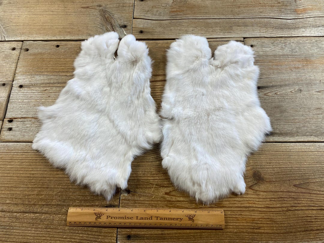 Matched Pair of White Rabbit Hides - Average - Natural Rabbit Fur- No ...