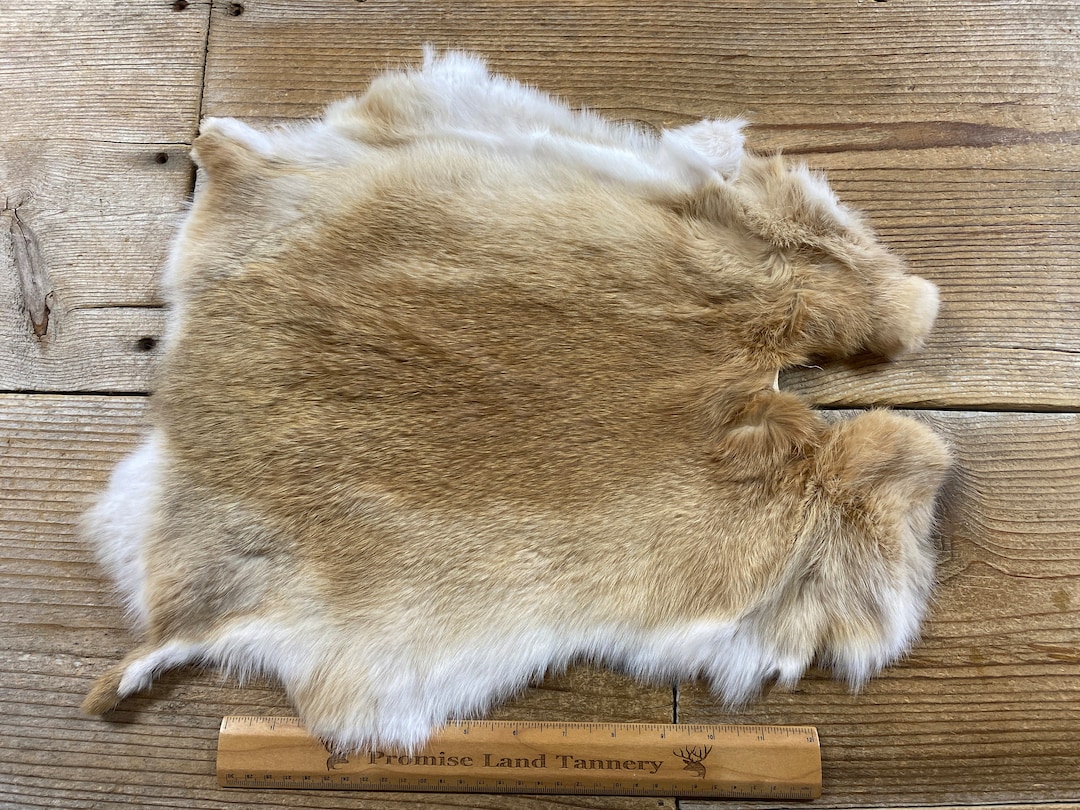 Tan Rabbit Hide - One Average - Natural Rabbit Fur - Lot No. 231130-V ...