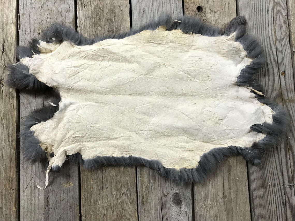 Lot of 4 Assorted Rabbit Hides As Shown Natural Rabbit Fur | Etsy