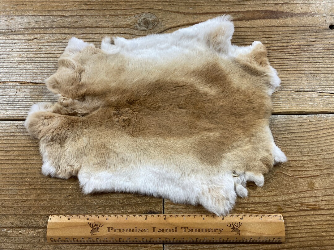 Tan Rabbit Hide - One Average Rex - Natural Rabbit Fur - Lot No. 231130 ...