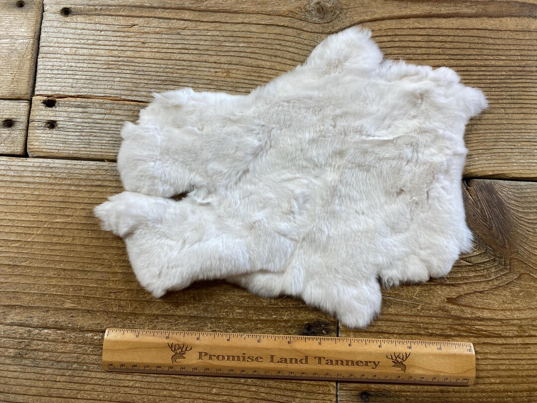 White Rex Rabbit Hide One Small Natural Rabbit Fur No. 240907-D - Etsy