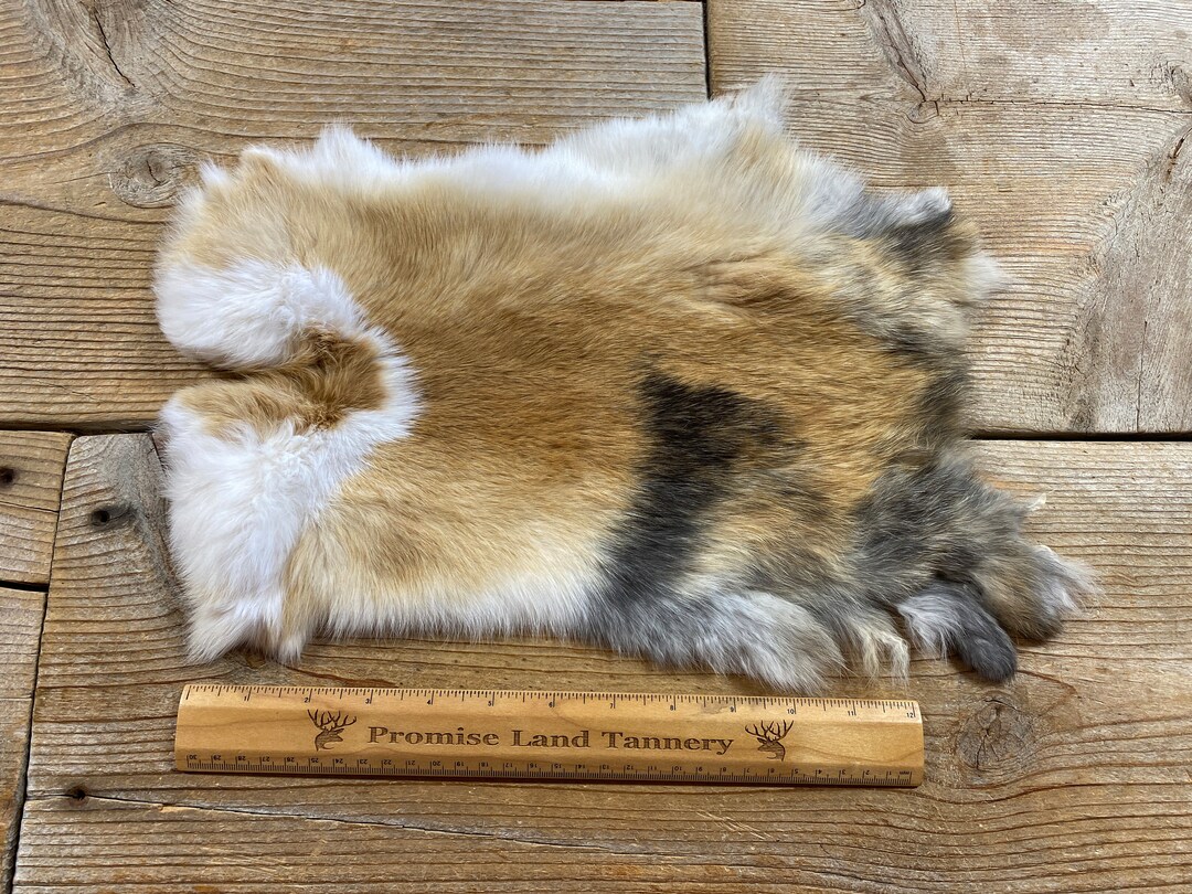 Japanese Harlequin Brown Rabbit Hide One Average Natural Rabbit Fur Lot ...