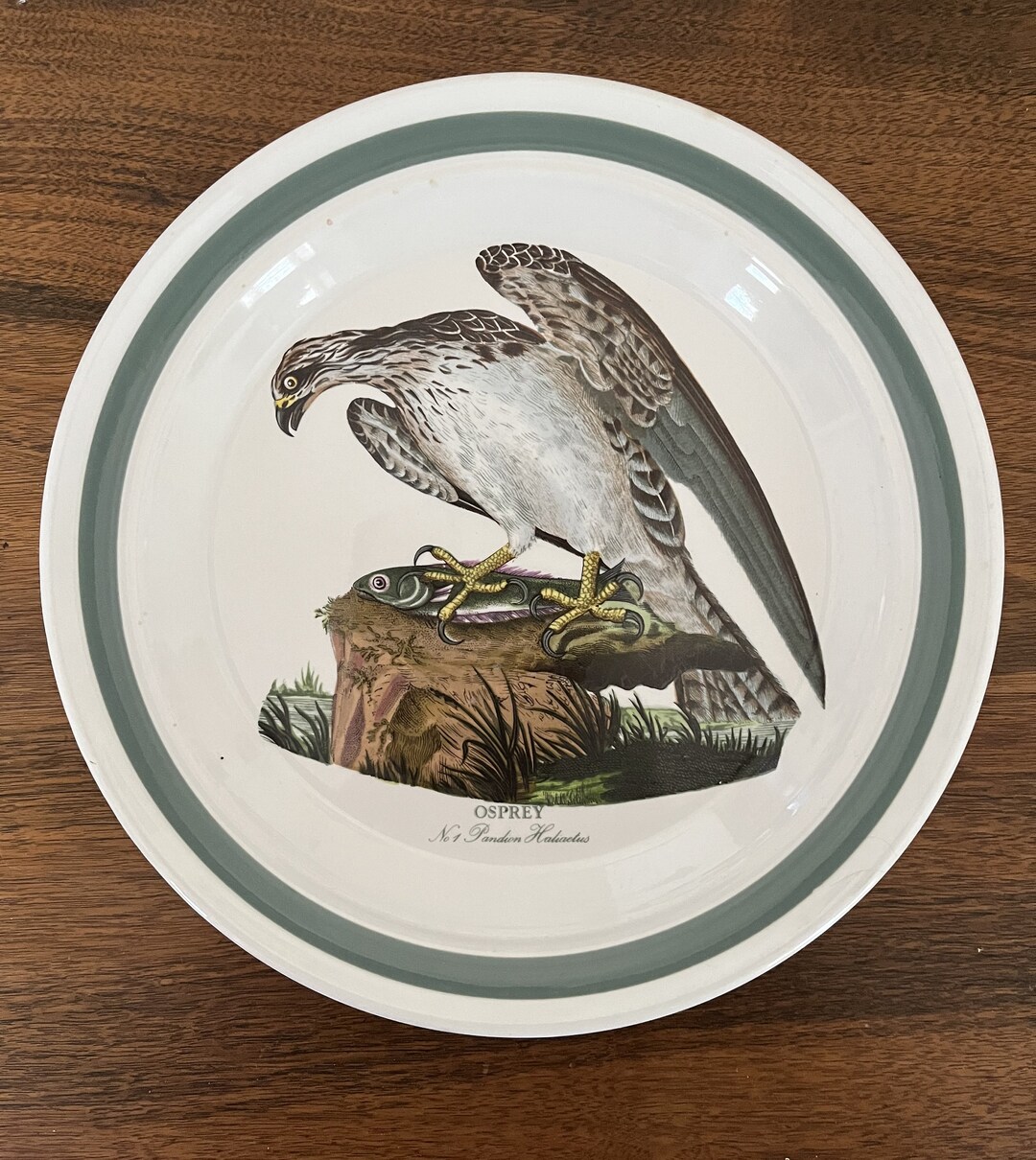RARE Portmeirion Birds of Britain Dinner Plate Osprey Vintage ...