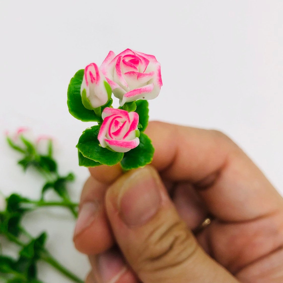 5 Bouquets Miniature Rose White - Pink Color, Miniature Garden ...