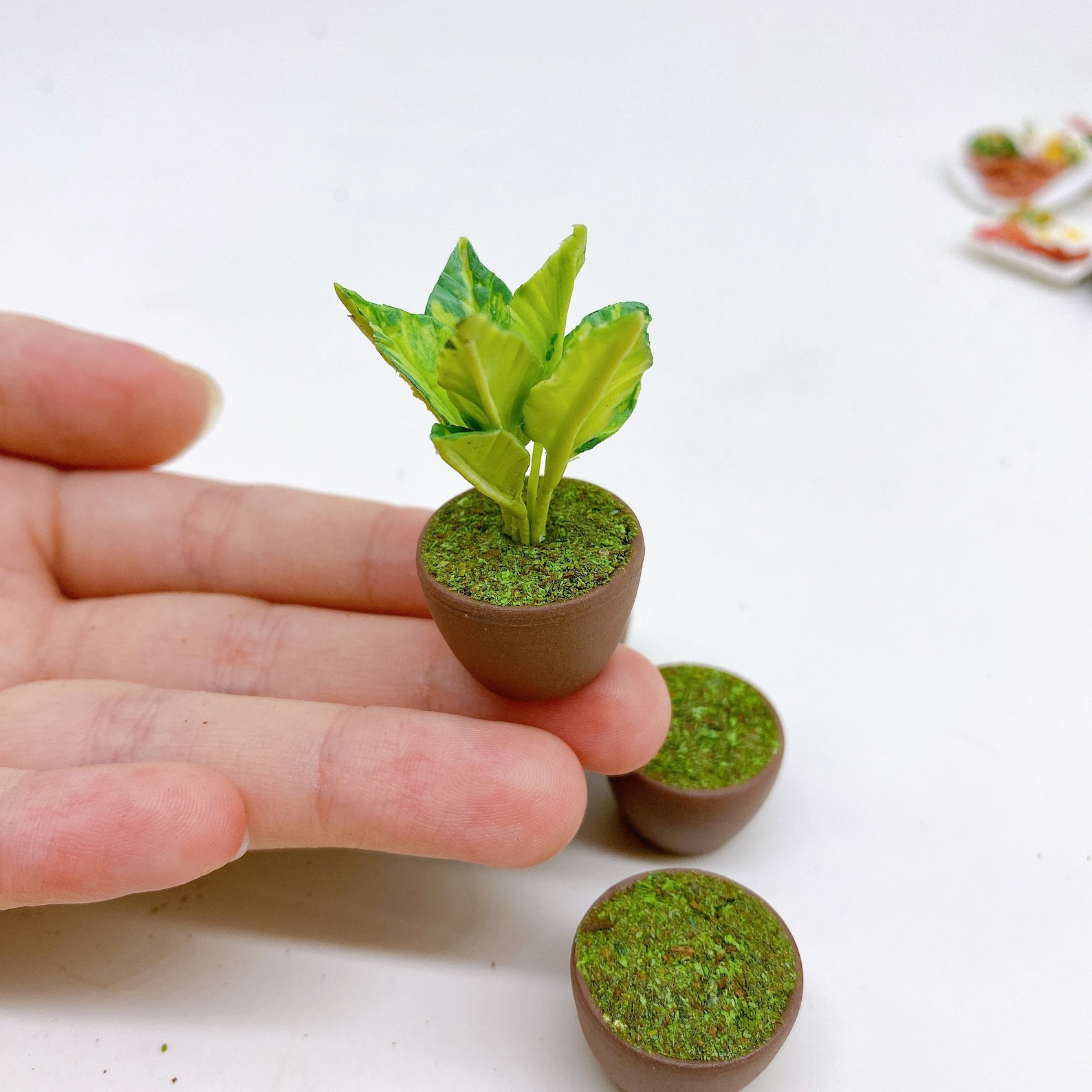 2 Pieces Miniature Plant for Decorate Your Greenhouse or - Etsy
