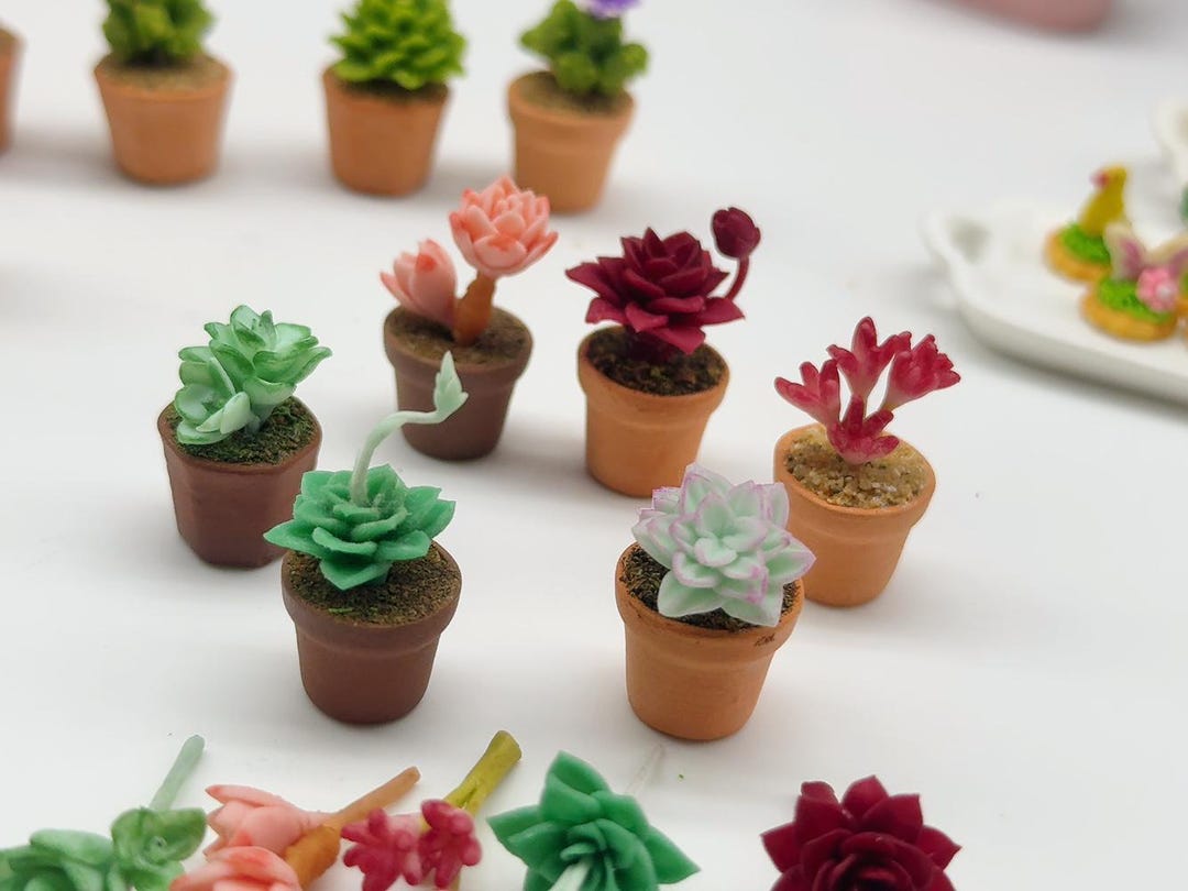 6 Pieces Miniature Cactus, Miniature Plant in Pot , Dollhouse Flower ...