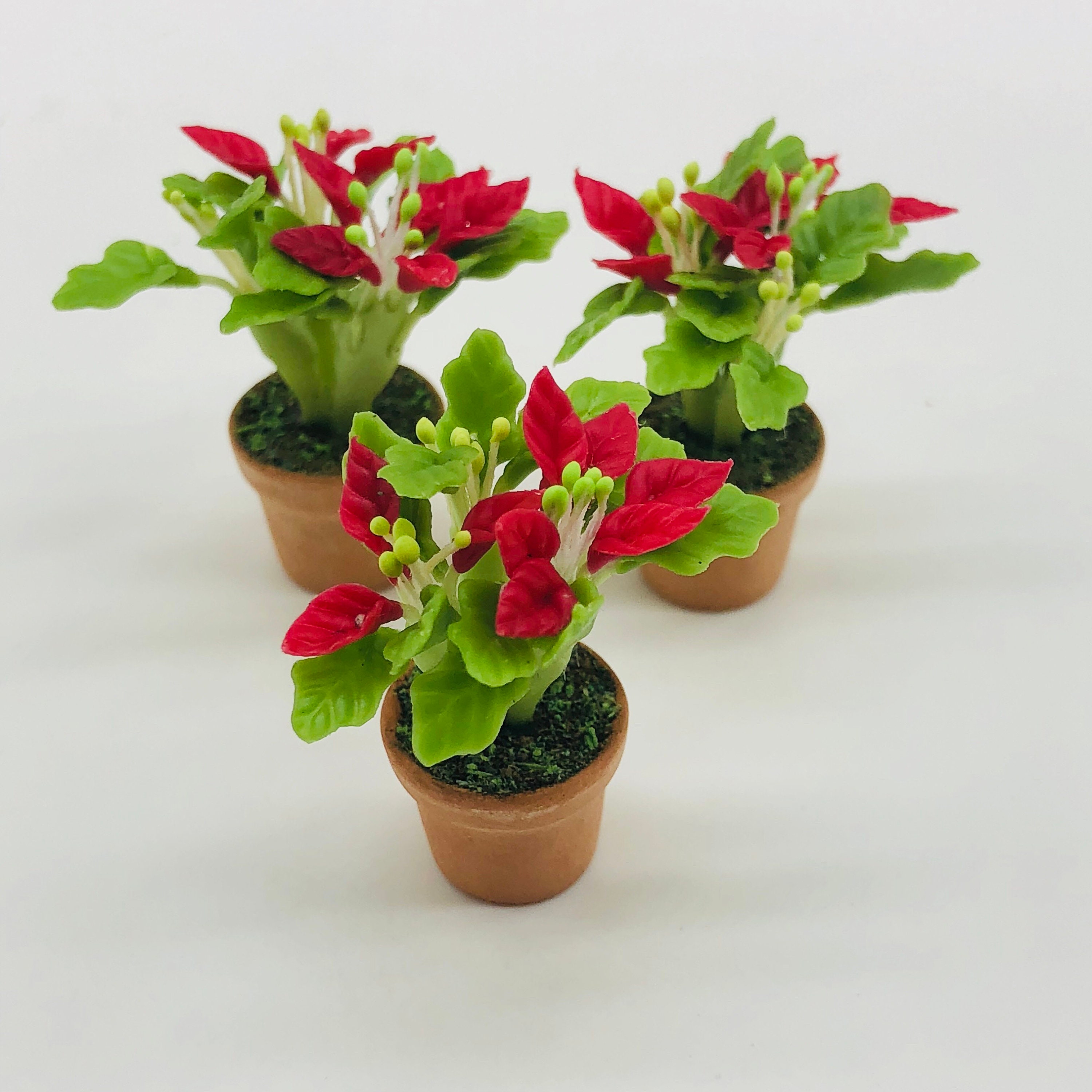 3 Miniature Poinsettia Plants in Pot: Thai Clay Dollhouse Decor - Etsy