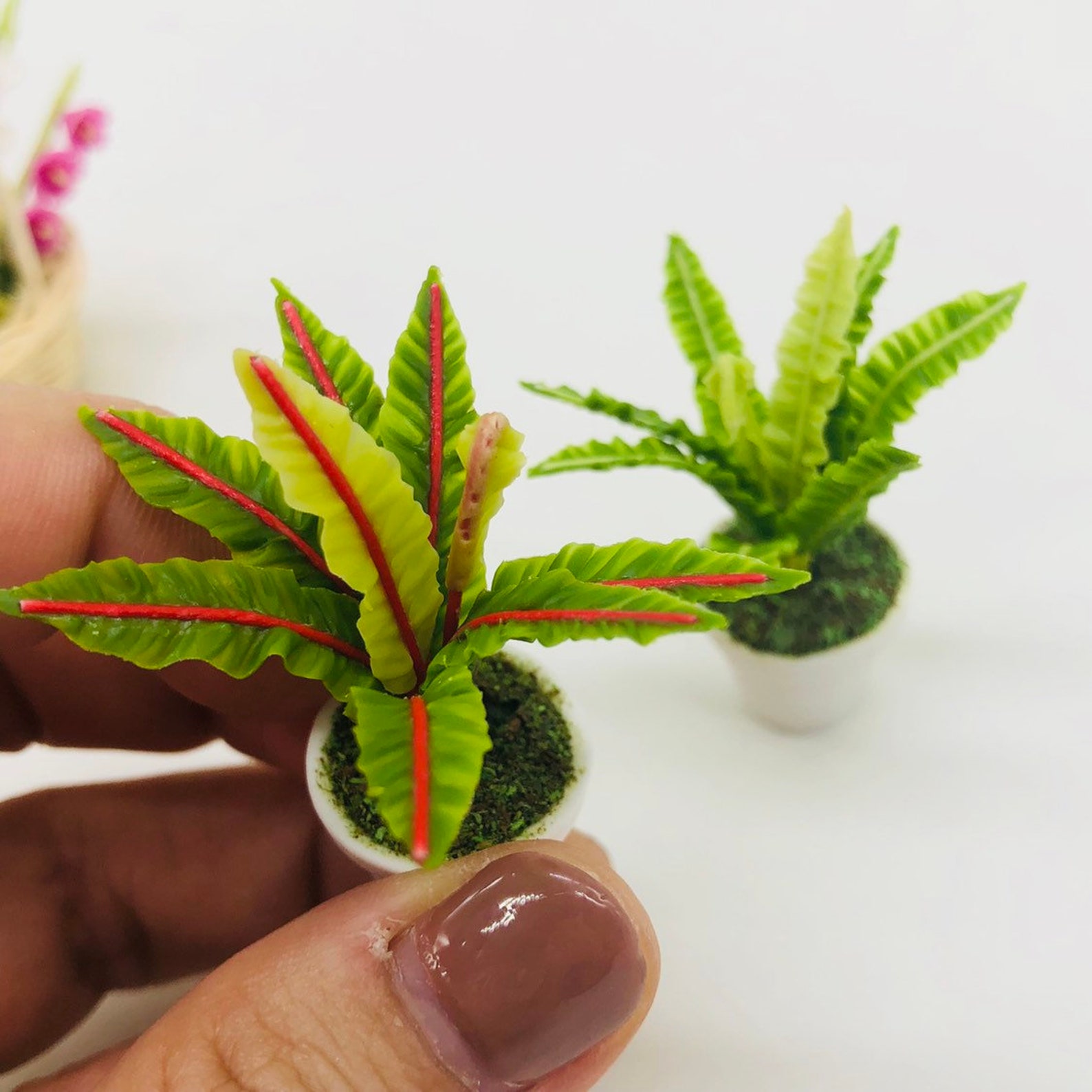2 Pieces Miniature Plant for Decorate Your Greenhouse or - Etsy