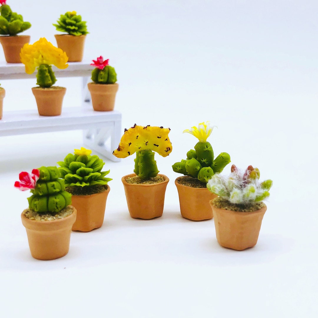 5 Pieces Miniature Cactus, Miniature Pot , Dollhouse Flower,miniature ...