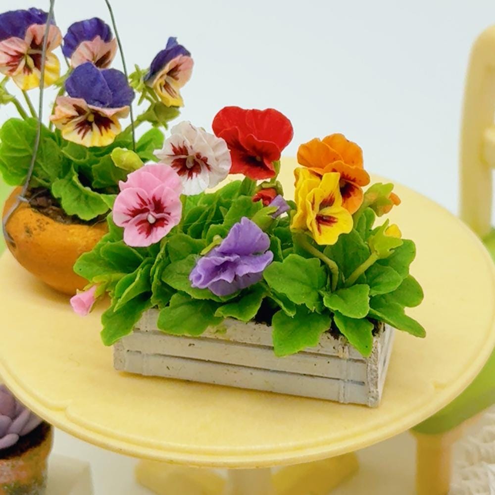 Miniature Clay Pansy in White Wood Box, Dollhouse Fairy Garden 1:12 - Etsy