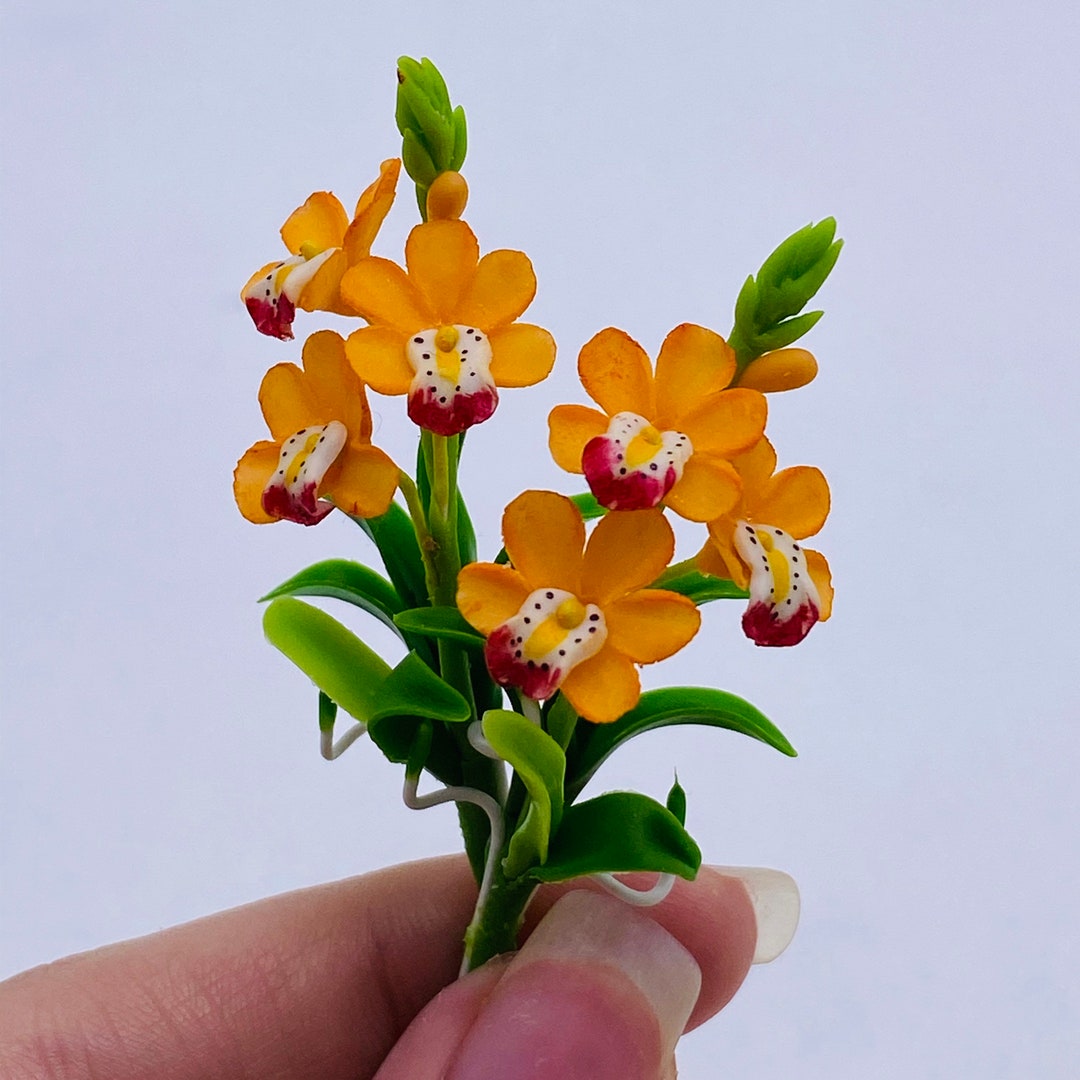 5 Pieces Miniature Cymbidium, Miniature Flowers for Fairy Garden ...