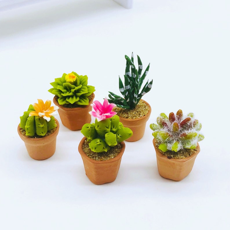 5 Pieces Miniature Cactus Miniature Pot Dollhouse - Etsy