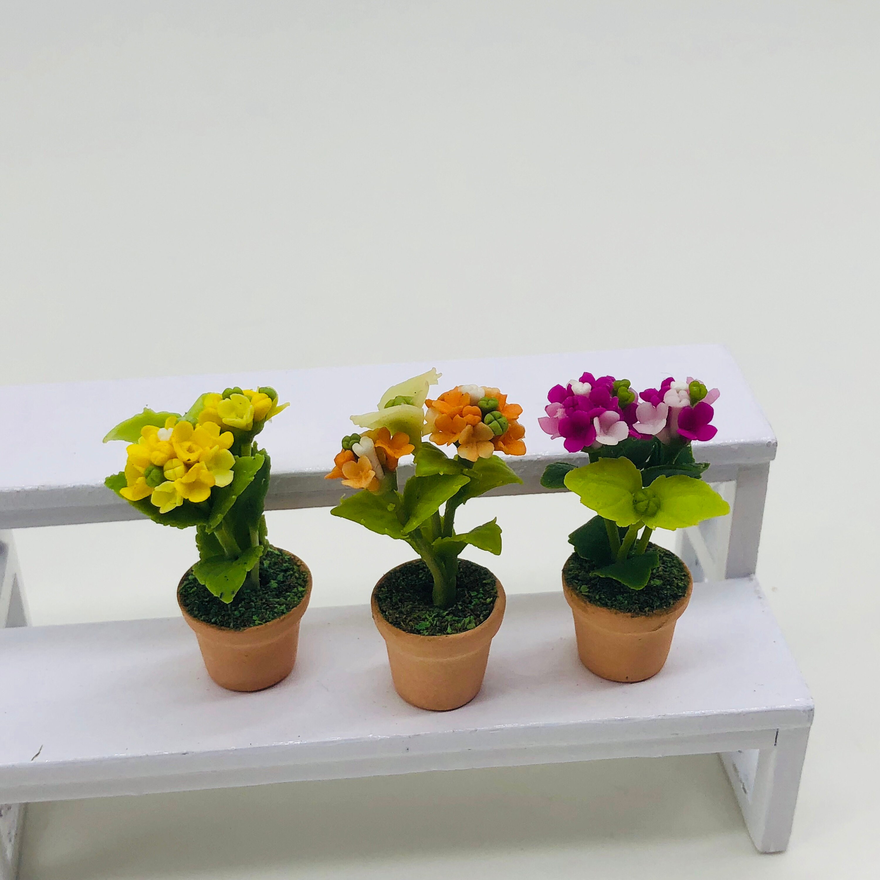 4 pieces Miniature Flower and Miniature Orchids,Miniature Garden ...