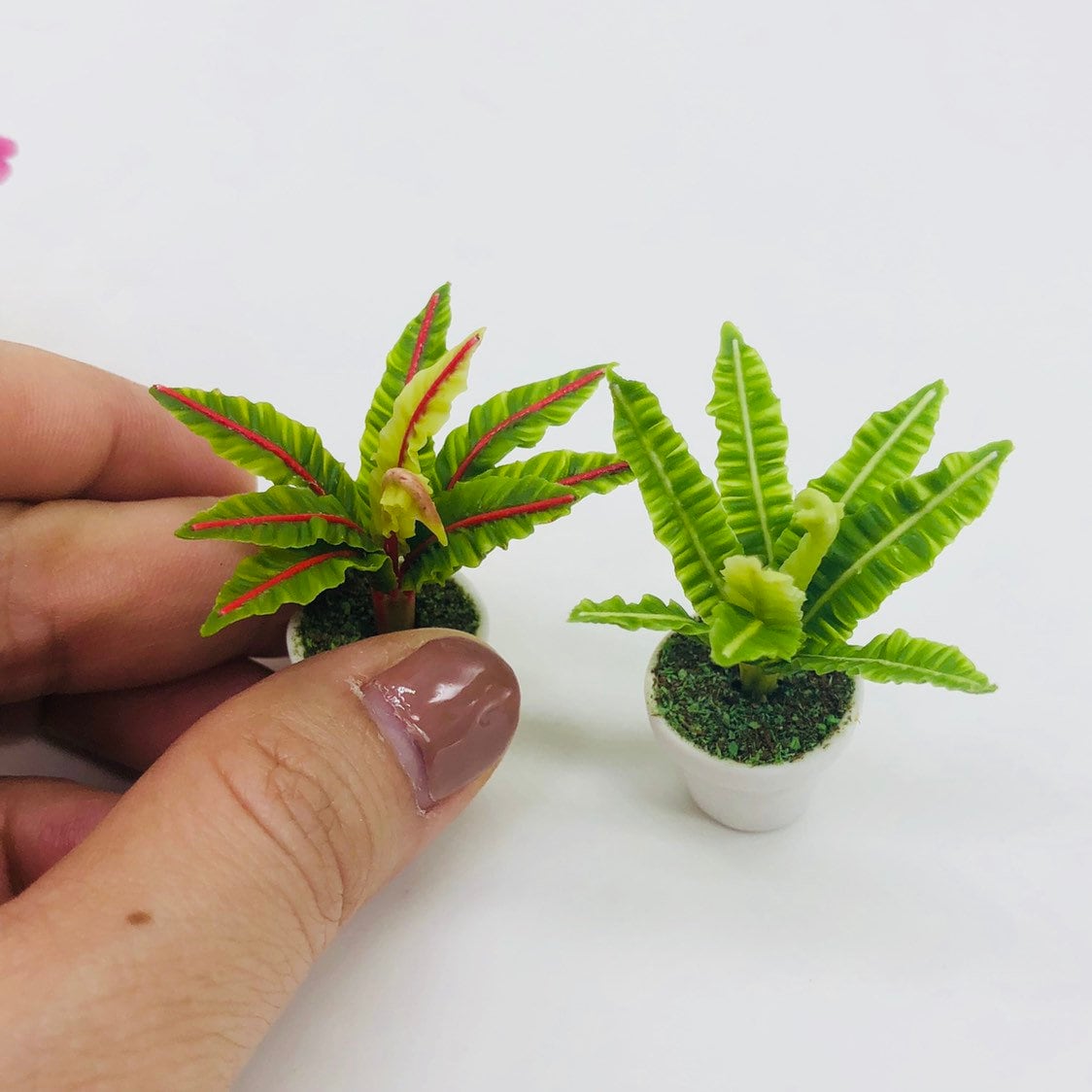 2 pieces Miniature Plant For decorate your Greenhouse or | Etsy